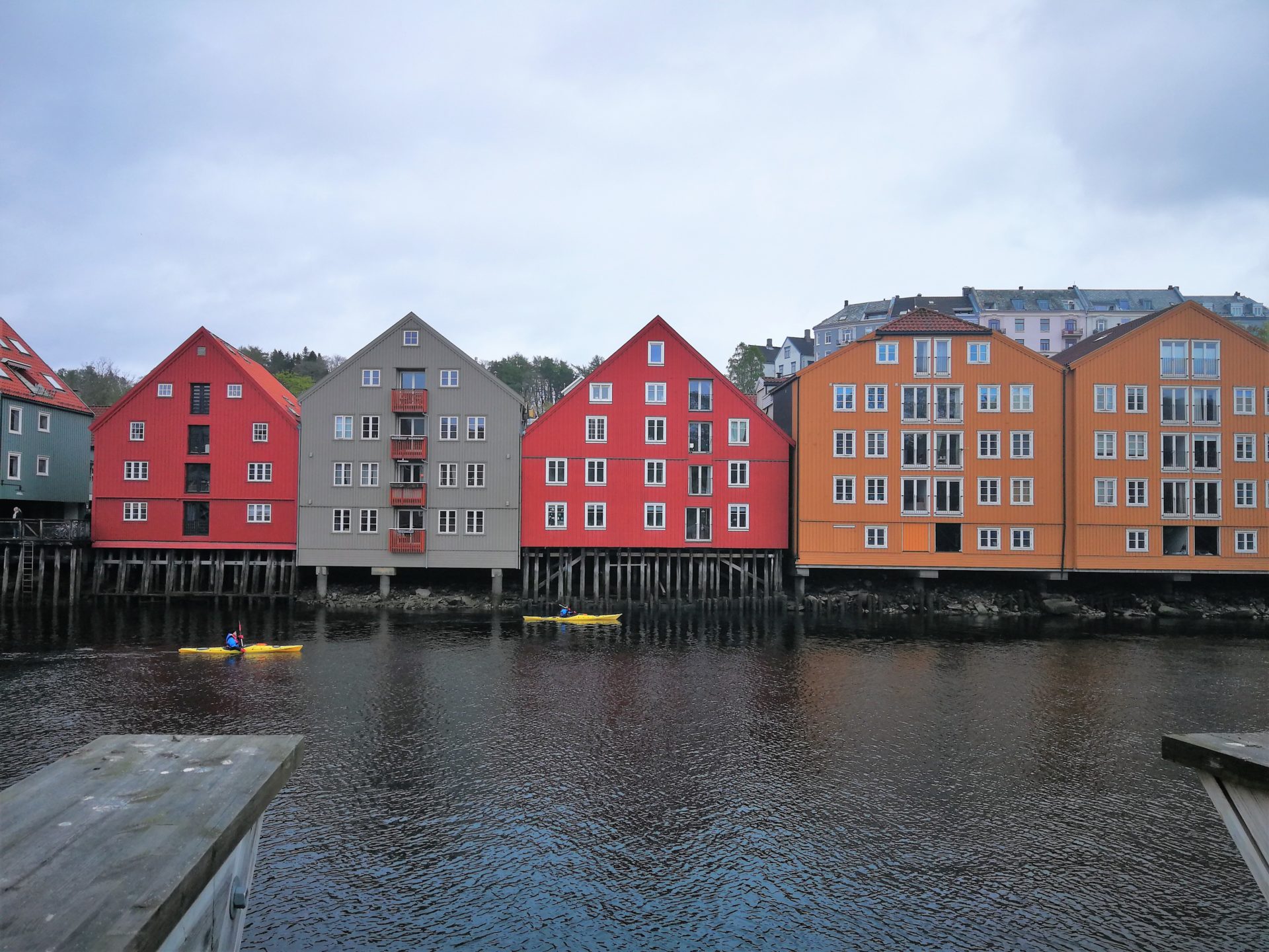 Norwegen - Ein Roadtrip durch das Land der Fjorde | PfotenErlebnisse
